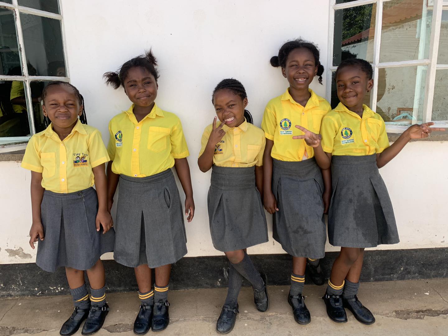 Pineview Academy - SchoolZathu